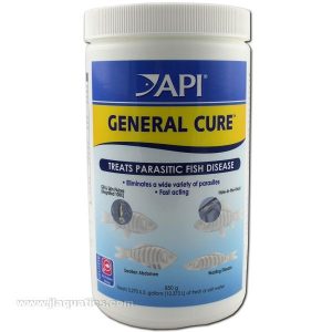 API General Cure, Treatment for Intestinal Parasites in Fish - Discus ...
